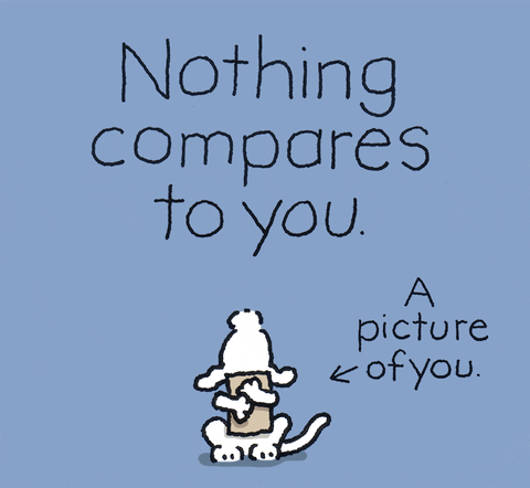 Nothing Compares To You GIF by Chippy the Dog - Find & Share on GIPHY