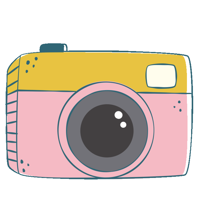 Camera Photoshoot Sticker by studioinsenouts for iOS & Android | GIPHY