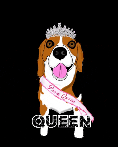 Dog Queen GIF - Find & Share on GIPHY