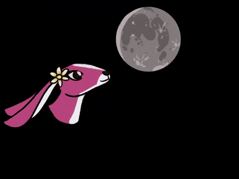 Moon Pink Bunny GIF by Wendy Gallagher - Find & Share on GIPHY