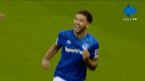 Newcastleunited GIFs - Get the best GIF on GIPHY