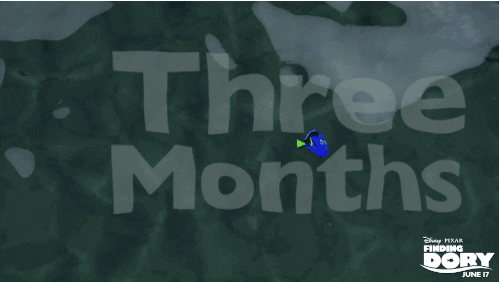 Just Keep Swimming Finding Nemo GIF by Disney Pixar - Find & Share on GIPHY