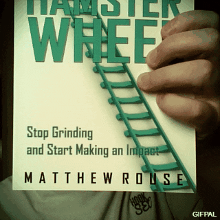 Stop Grinding GIFs - Get the best GIF on GIPHY