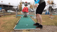 Minigolf GIFs - Get the best GIF on GIPHY