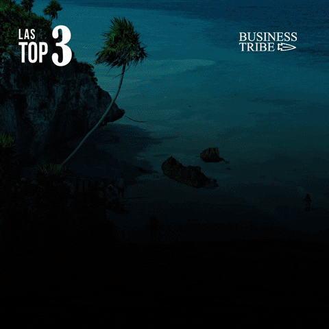 Business Tribe GIFs - Find & Share on GIPHY