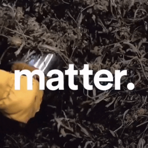 Weed Grow GIF by PharmaCann - Find & Share on GIPHY