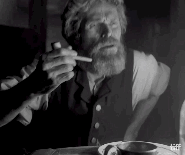 TIFF GIF - Find & Share on GIPHY