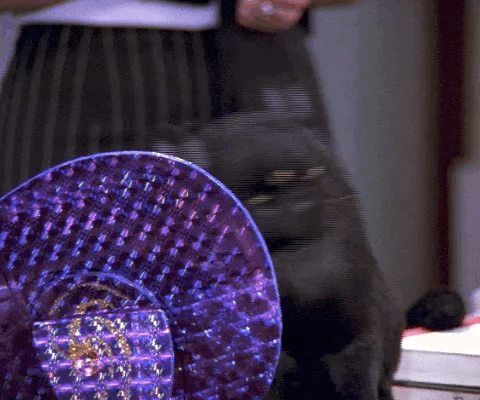 Salem GIFs - Get the best GIF on GIPHY