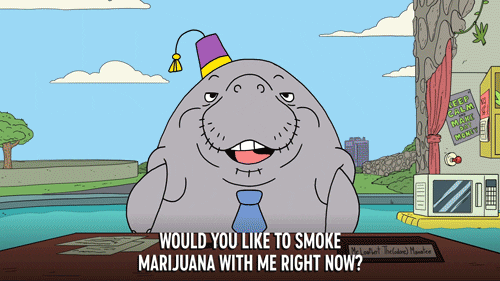 Would You Fuck Me S Get The Best On Giphy