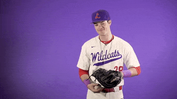 Baseball GIFs on GIPHY - Be Animated