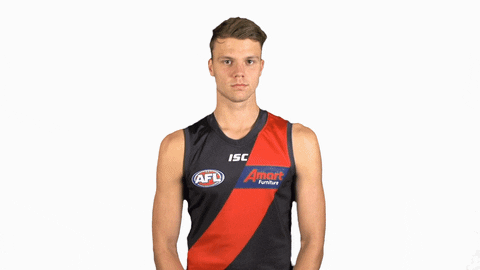 Essendon FC GIF - Find & Share on GIPHY