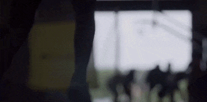 The Edge GIFs on GIPHY - Be Animated