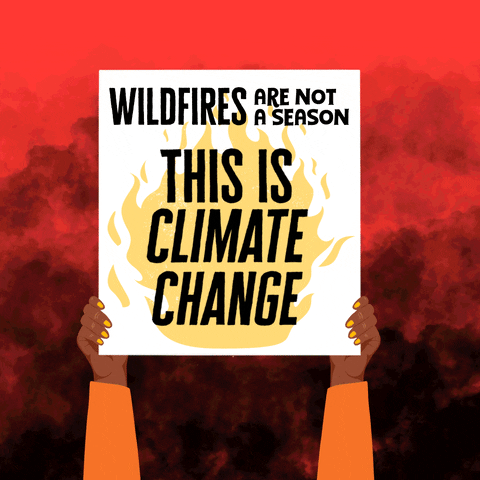 Wildfires Are Not A Season GIFs - Get the best GIF on GIPHY