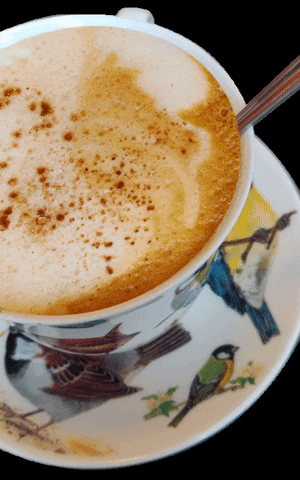 Empty Coffee GIFs - Get the best GIF on GIPHY