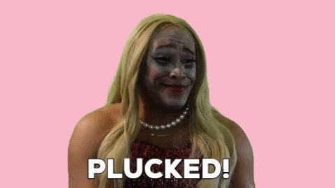 Plucked GIFs - Get the best GIF on GIPHY