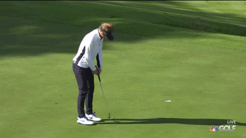 Celebrate Womens Golf GIF by LPGA - Find & Share on GIPHY