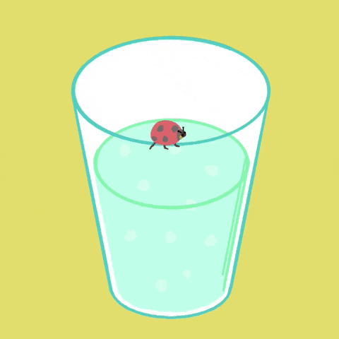 Carbonated Water GIFs - Get the best GIF on GIPHY