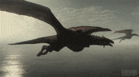 Flying Dragon Gif