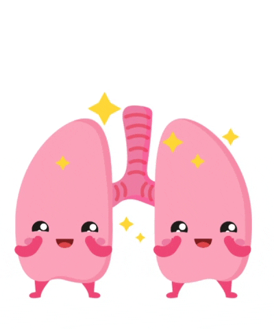 Lungcancer GIFs - Get the best GIF on GIPHY