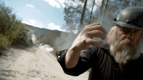 Gold Discover GIF by Discovery Europe - Find & Share on GIPHY