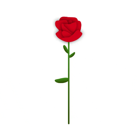 One Rose GIFs - Get the best GIF on GIPHY