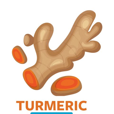 Turmeric GIFs - Get the best GIF on GIPHY