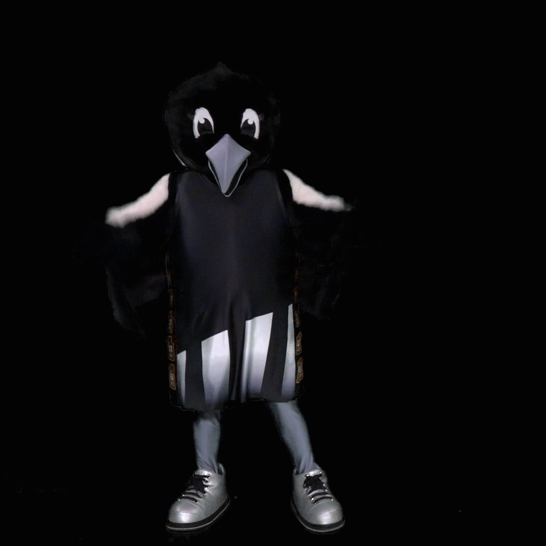 Flex Netball GIF by CollingwoodFC - Find & Share on GIPHY