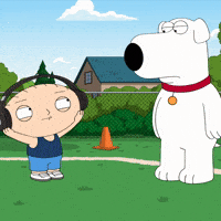 Animal-track GIFs - Get the best GIF on GIPHY