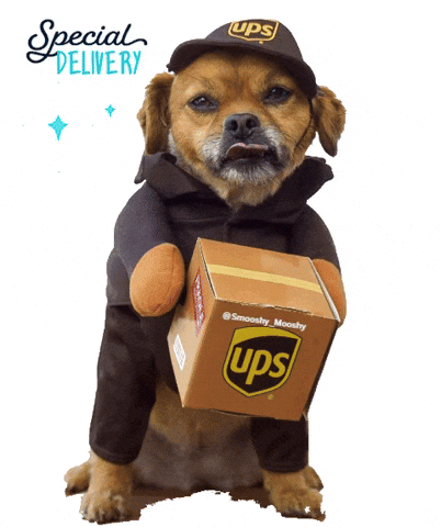 Deliver Amazon GIF - Find & Share on GIPHY