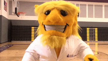 Mascot GIF by St. Louis College of Pharmacy - Find & Share on GIPHY
