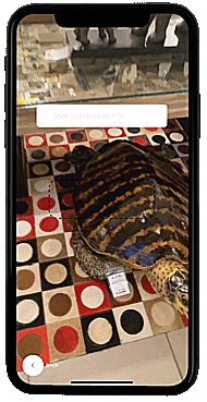 Point-of-interest GIFs - Get the best GIF on GIPHY