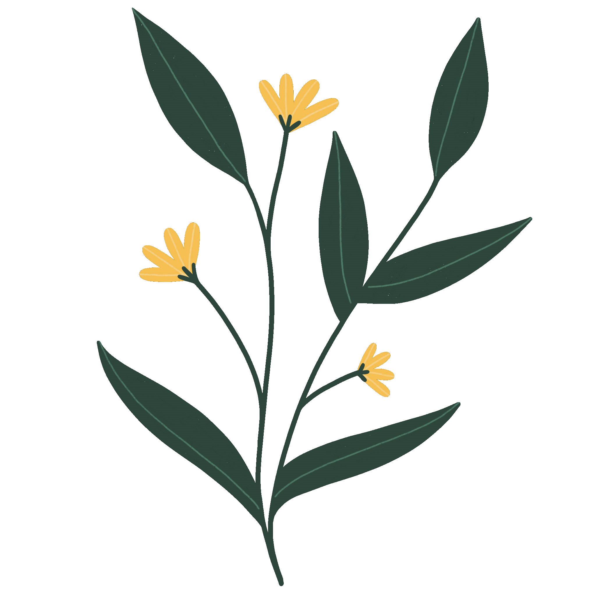 Plants Sticker for iOS & Android | GIPHY