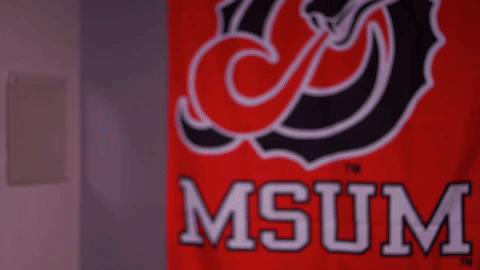 Minnesota State University Moorhead GIF - Find & Share on GIPHY