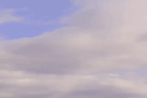 Washingtion GIFs - Get the best GIF on GIPHY