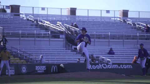 Baseball Game GIF by LSU Tigers - Find & Share on GIPHY