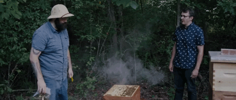 Baristas Beekeeper GIF by The Orchard Films - Find & Share on GIPHY