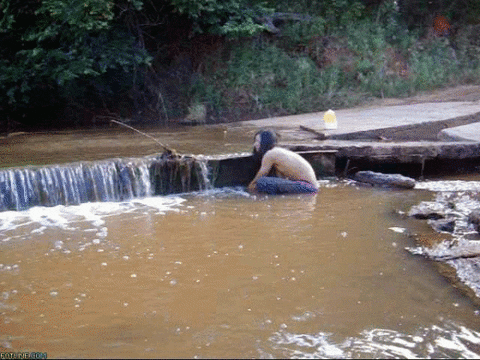 Favorite/most effect bait for catfish? - Page 2 | TexAgs