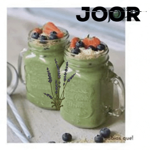 Joor Chile GIFs on GIPHY - Be Animated