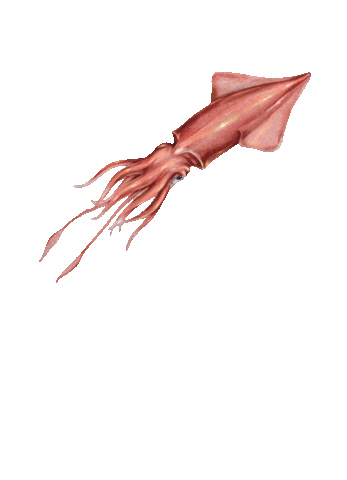 Gravure Anjyu Kouzuki Gif Promotion Video Bokep Ngentot