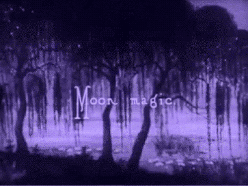 Moon Worship GIFs - Get the best GIF on GIPHY