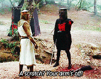 Monty Python Black Knight Gif