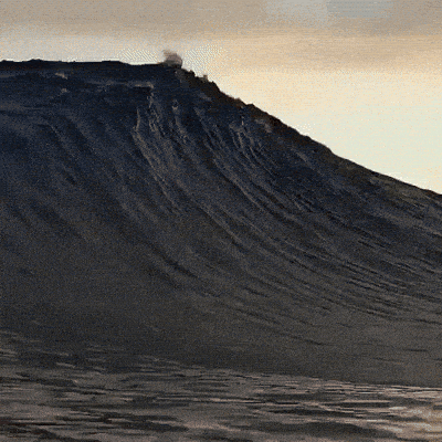 Fortitude Crest GIFs - Get the best GIF on GIPHY