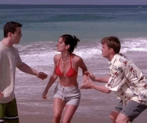 Episode 1: The One with the Jellyfish GIFs on GIPHY - Be Animated