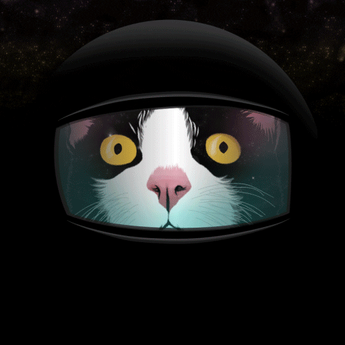 Cat Art GIF by Falcao Lucas - Find & Share on GIPHY