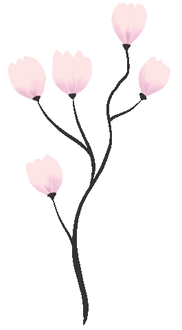 Flower Magnolia Sticker by Mascha Vang for iOS & Android | GIPHY