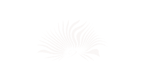 Valentin Maya GIFs on GIPHY - Be Animated