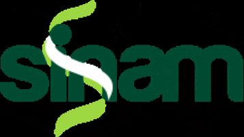 SINAM GIFs on GIPHY - Be Animated