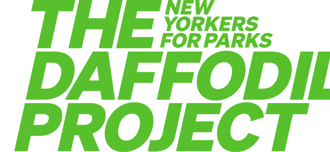 2021 Daffodil Project GIFs on GIPHY - Be Animated