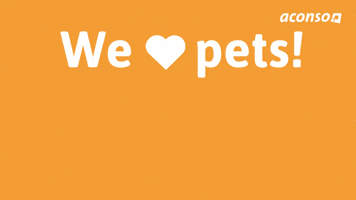 aconso AG GIFs on GIPHY - Be Animated