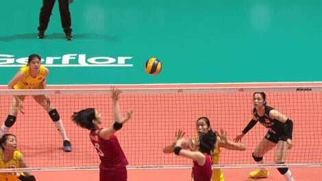 Happy Group Hug GIF by Volleyball World - Find & Share on GIPHY